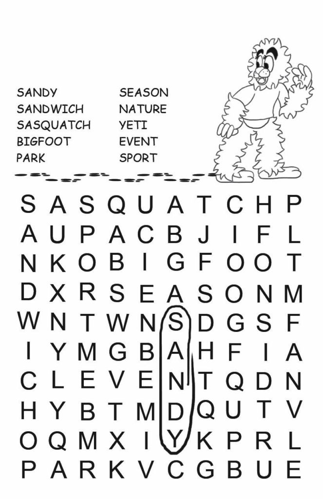 Meet Sandy | Sandwich Park District